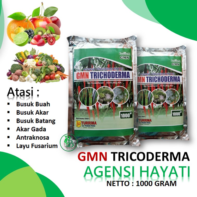 Jual PUPUK Trichoderma SP cegah busuk akar, Fungisida Hayati trikoderma Padat 1 kg | Shopee ...