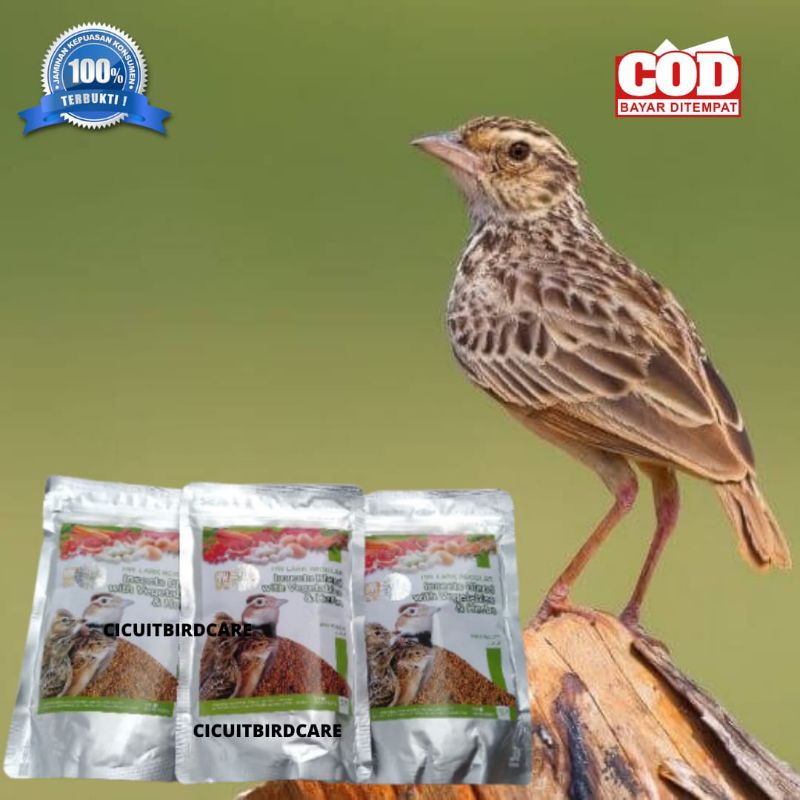 Jual HW LARK REGULAR REGULER INSECTS BLEND PAKAN VOER BURUNG BRANJANGAN ...