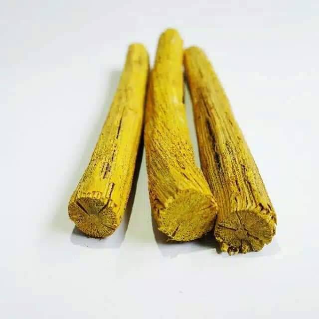 Jual Tumbuhan herbal Akar kuning asli kalimantan | Shopee Indonesia