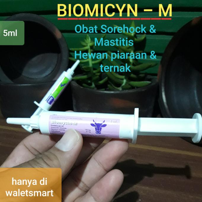 Jual ORIGINAL Biomycin-M Obat Sorehock & Mastitis pada Kelinci Kucing ...