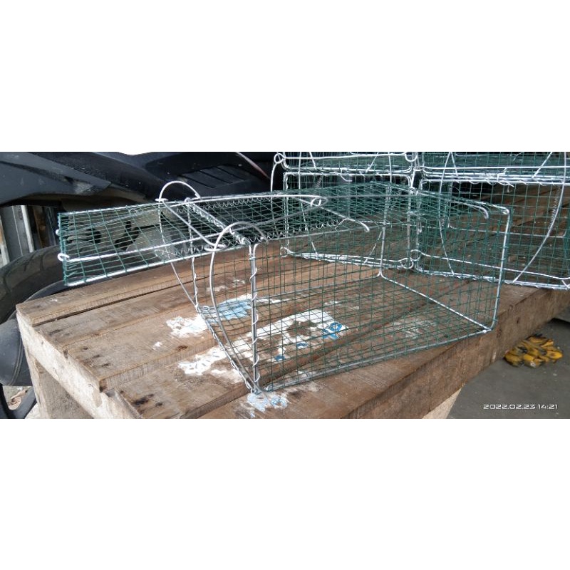 Jual KANDANG JEBAKAN UNTUK TIKUS JUGA BISA UNTUK JEBAK BURUNG | Shopee ...