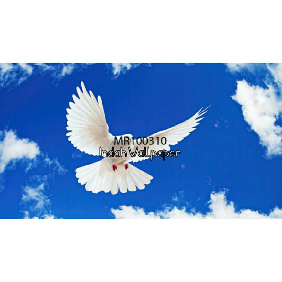 Jual Photowall Mural 3D Wallpaper Dinding Mural Visual Burung Merpati ...