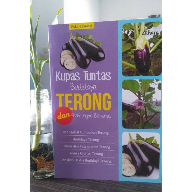 Jual Kupas Tuntas Budidaya Terong Dan Perhitungan Bisnisnya - Sukiny Dawud | Shopee Indonesia