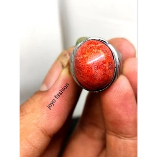 Jual batu marjan asli laut merah Harga Terbaik & Termurah Juli 2024 ...