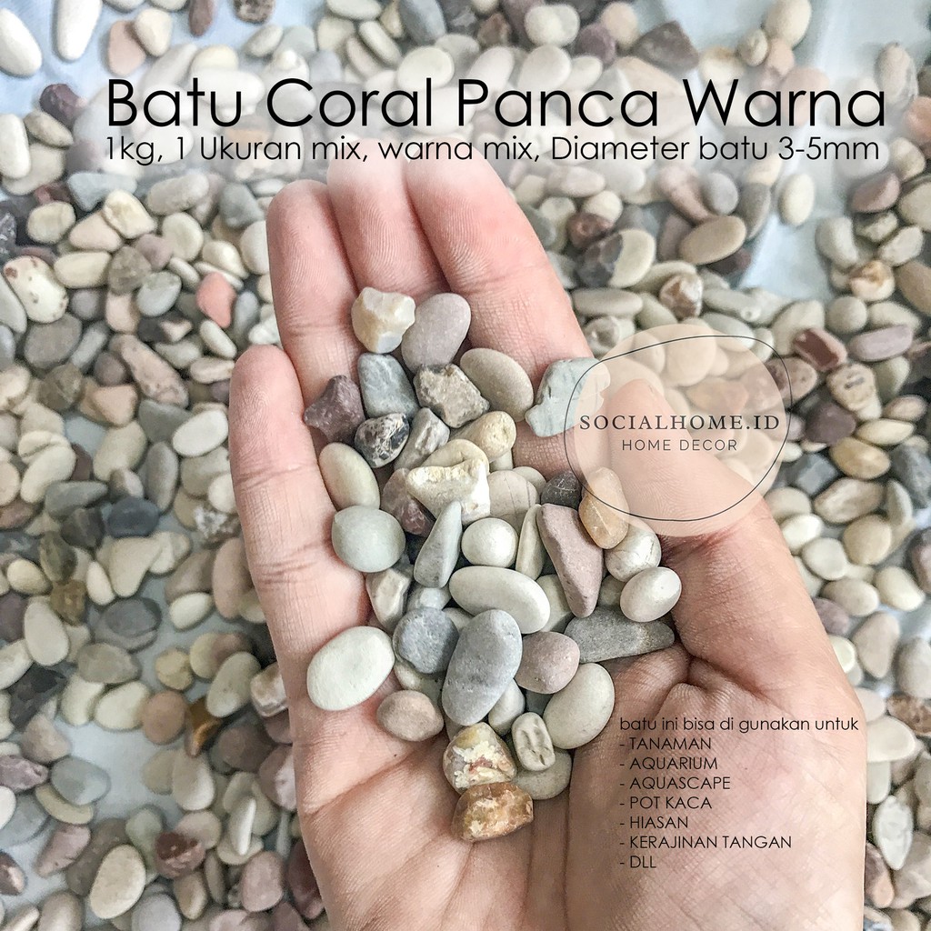 Jual Batu Koral Coral Panca Warna Pancawarna Kerikil Hias Taman Aquarium Aquascape - 1kg ...