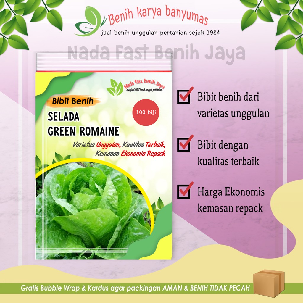 Jual Benih selada green romaine 100 biji - benih sayuran dan bibit sayuran | Shopee Indonesia