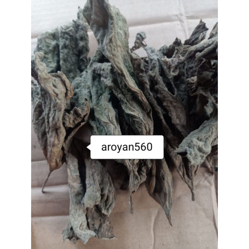 Jual Daun labu kuning kering 200 gram | Shopee Indonesia