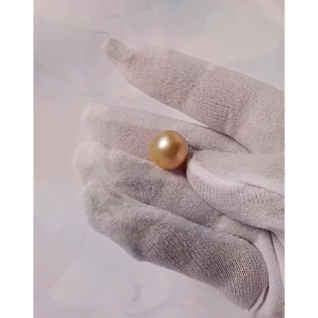 Jual BUTIRAN MUTIARA LOMBOK AIR LAUT ASLI GRADE AAA GOLD BERSERTIFIKAT ...