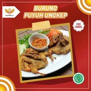 Jual daging burung puyuh Harga Terbaik & Termurah Agustus 2025 | Shopee ...
