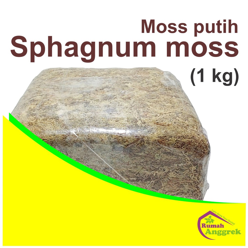 Jual Media Sphagnum Moss 1 kg 1000 gram spagnum spaghnum putih lumut ...