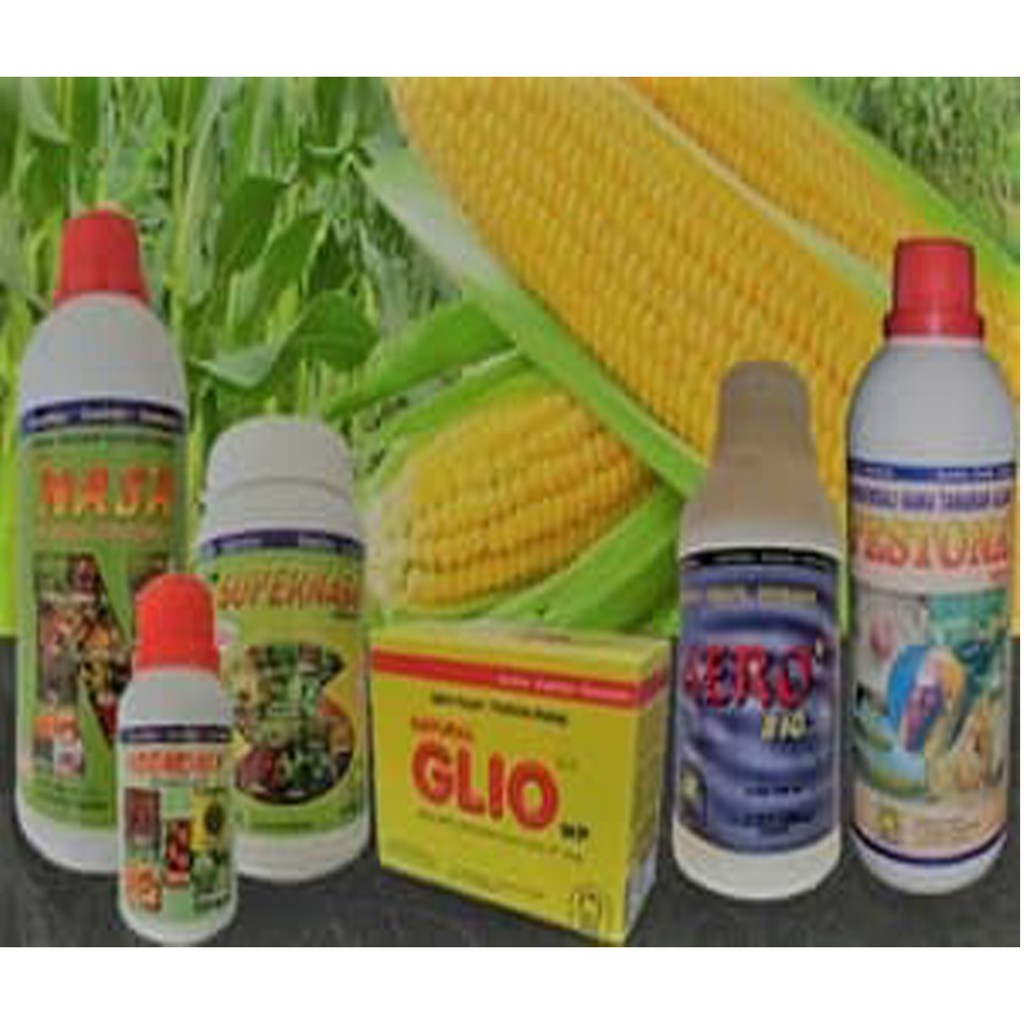 Jual Paket Pupuk Budidaya Jagung Organik Nasa /Stockist Official PT ...