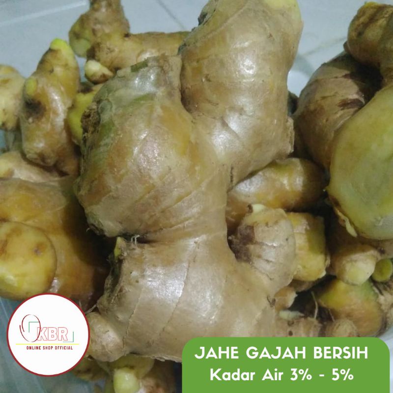 Jual Jahe gajah cuci / jahe putih cuci / jahe cuci bersih 1kg | Shopee ...