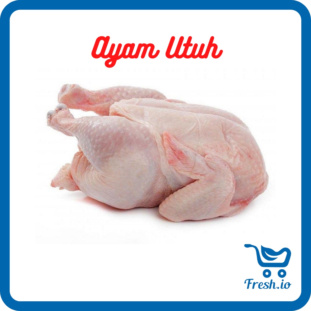 Jual Ayam Utuh | Shopee Indonesia