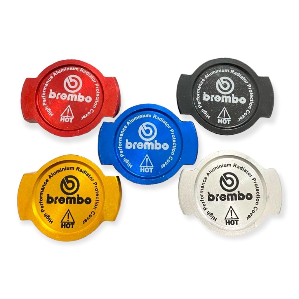 Jual COVER TUTUP RADIATOR MODEL JARING VARIO COVER RADIATOR VARIO 125 ...