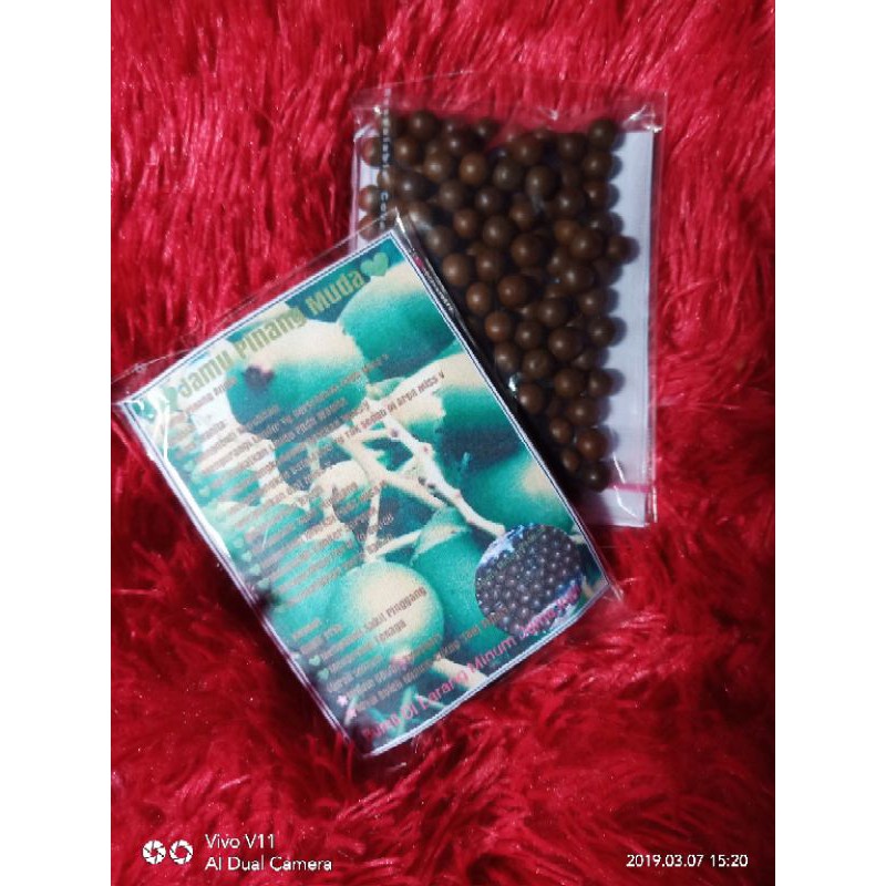 Jual Jamu Pinang Muda khas Banjar Kalimantan Selatan | Shopee Indonesia