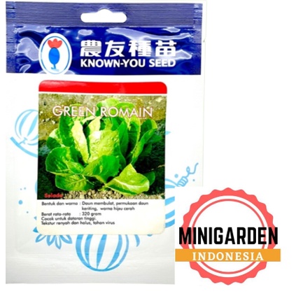 Jual SELADA GREEN ROMAINE 20 GRAM PACK BESAR benih biji selada hijau butterhead lettuce bibit ...