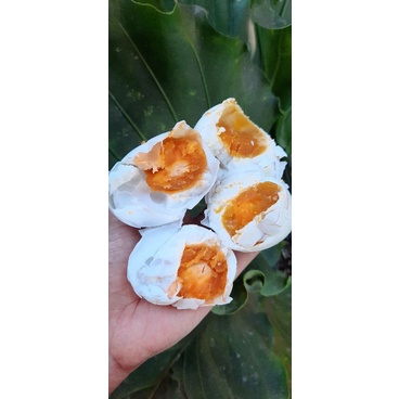 Jual Telur Asin Terlengkap & Harga Terbaru April 2026 | Shopee Indonesia