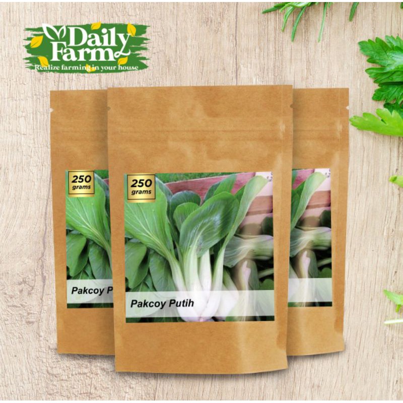 Jual ( 250 gram ) DF benih PAKCHOY PUTIH 250 gram pakcoy white bulk ...