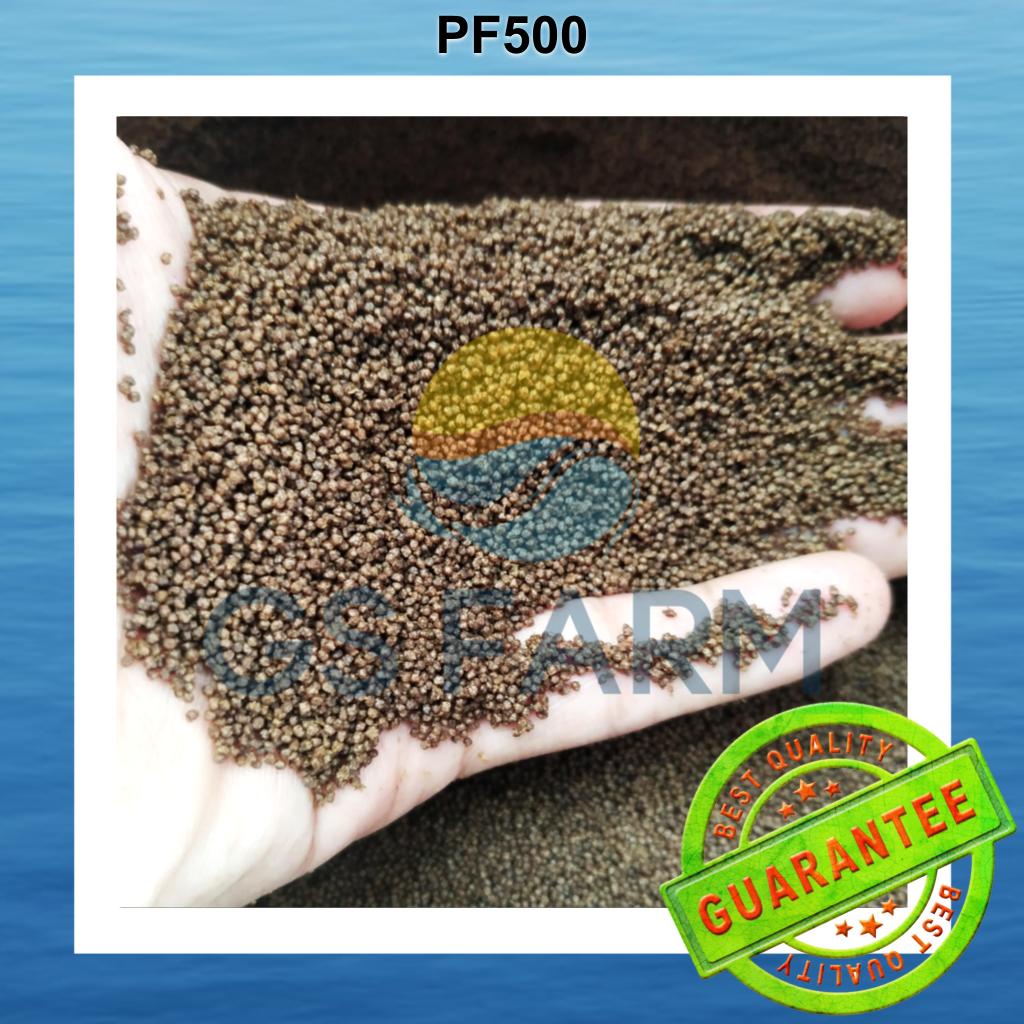 Jual Pelet PF500 pakan ikan repack 1kg PF 500 1 kg benih lele nila GS FARM | Shopee Indonesia