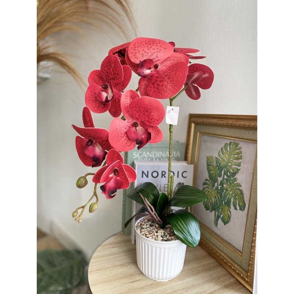 Jual BUNGA Anggrek latex murah cabang 1 vas GARIS Anggrek Latex Premium ...