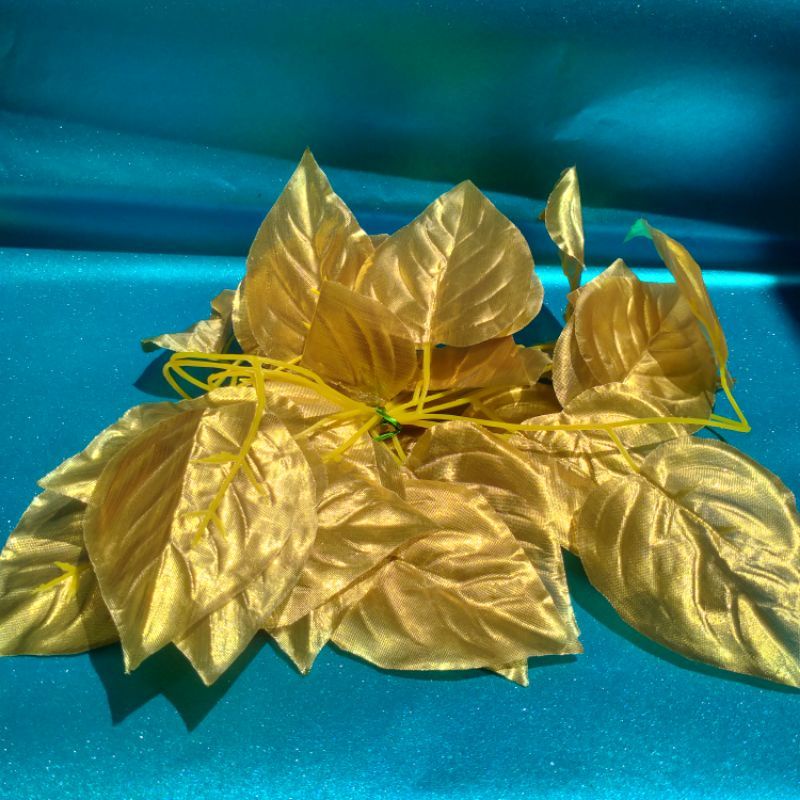 Jual Daun rambat gold 2 meter daun emas per biji | Shopee Indonesia