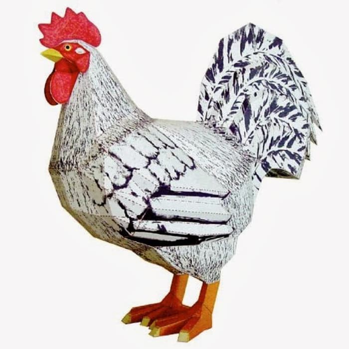 Jual DIY Papercraft Hewan Ayam | Shopee Indonesia