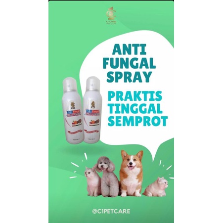 Jual C-One Anti Fungal Spray Powder 150 ml (spray jamur) | Shopee Indonesia