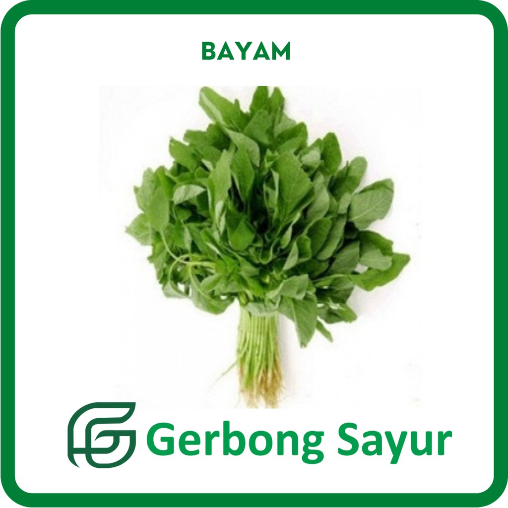 Jual Sayur Bayam Segar - 500g | Shopee Indonesia