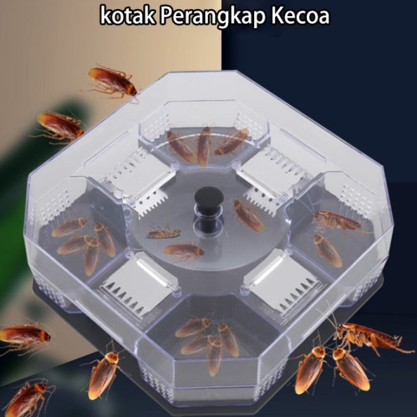 Jual Perangkap Kecoa kotak Serangga cicak lem kecoak rumah cockroach ...