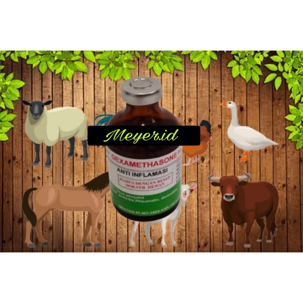 Jual Dexamethasone Inj Meyer 50ML & 100ML - Obat anti inflamasi ...