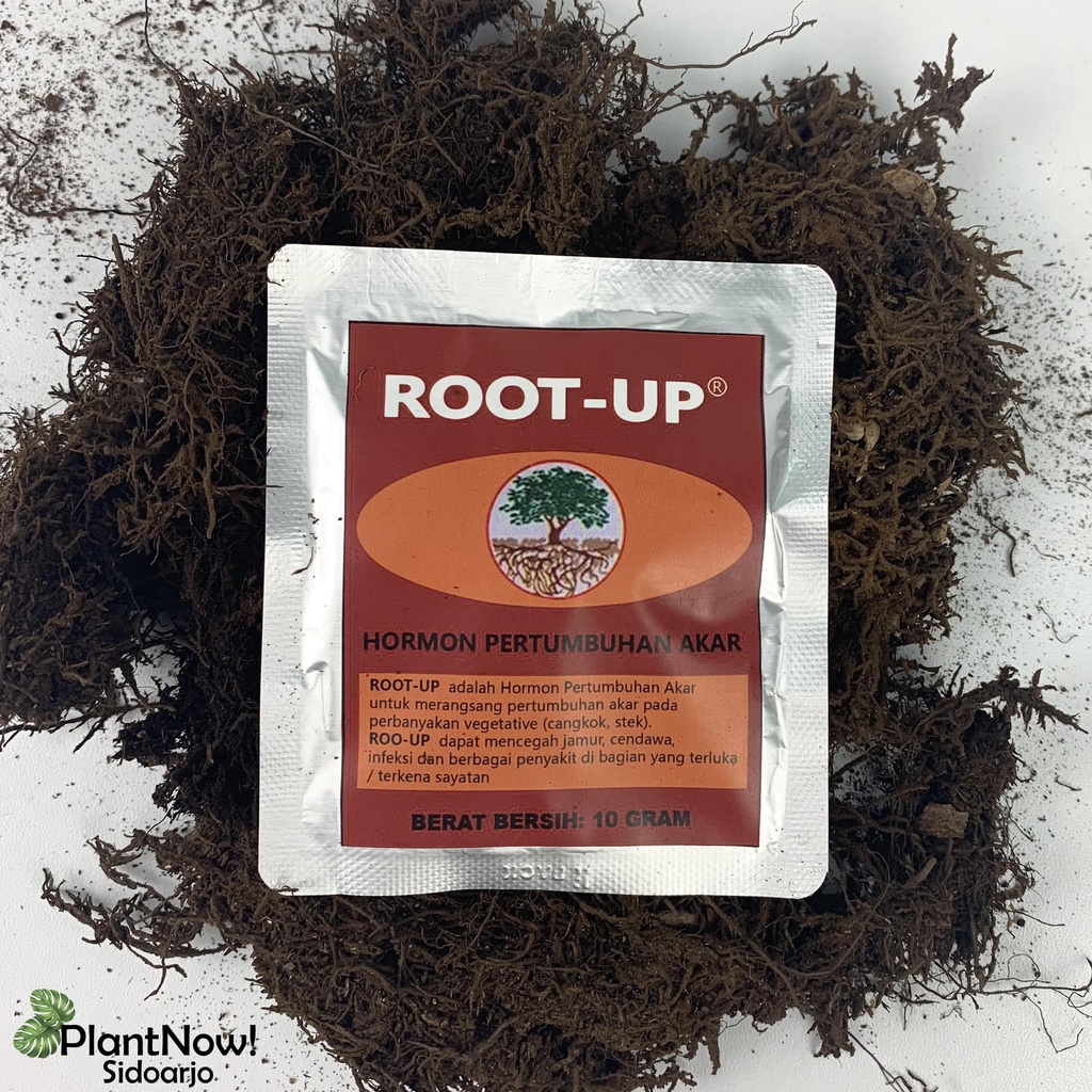 Jual ROOT UP Hormon Pertumbuhan Akar Stek Cangkok kemasan repacking 10 ...