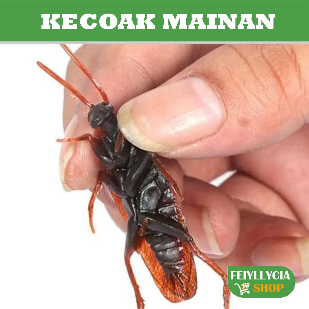 Jual MAINAN KECOA PALSU - KECOAK MAINAN - MAINAN USIL - KECOA KARET ...