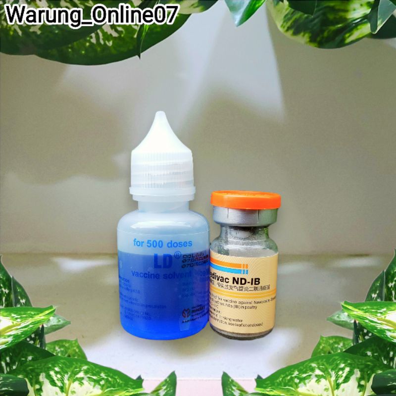 Jual Vaksin Medivac ND IB Dosis 500 Ekor - Harga Untuk 1 Dus Berisi 10 ...