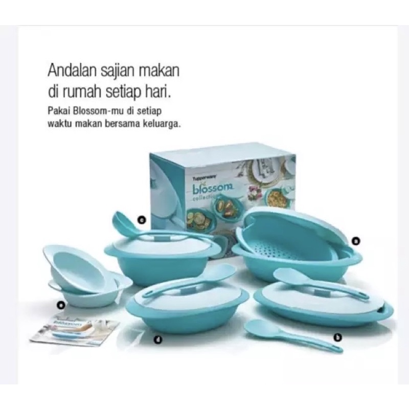 Jual BARU !!! Tupperware set blossom tosca | Shopee Indonesia