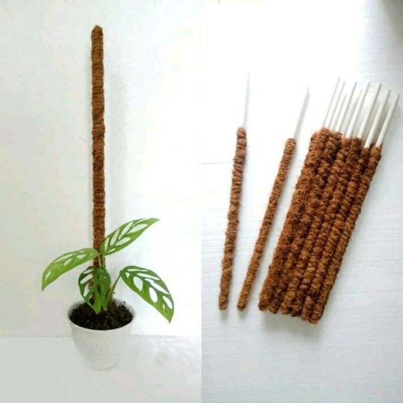 Jual turus tiang penyangga tanaman 30 cm | Shopee Indonesia