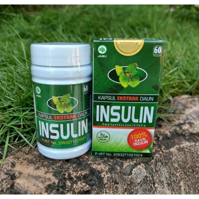 Jual Kapsul daun insulin 60 kapsul | obat diabetes | Shopee Indonesia