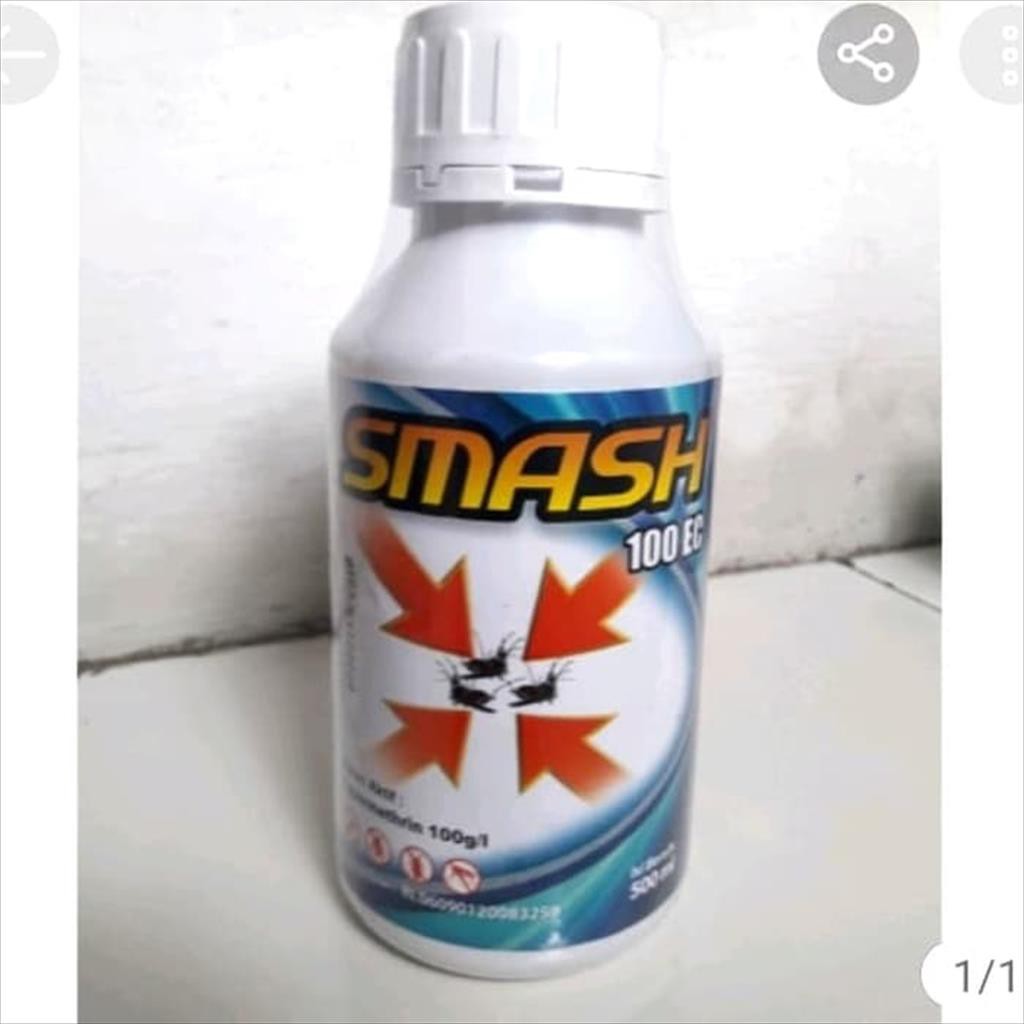 Jual Smash 100EC 200ml obat fogging anti nyamuk DBD serangga nyamuk ...