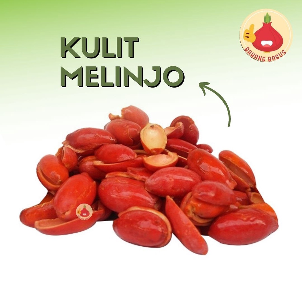 Jual Kulit Melinjo Bersih Tampa Isi/Daun Melinjo Segar/Buah Melinjo ...