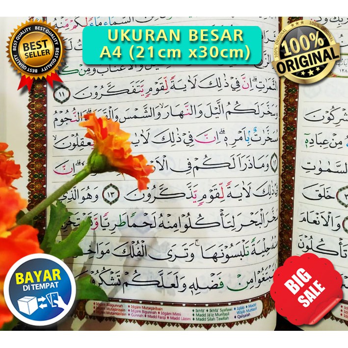 Jual Al quran As samad A4 Huruf Arab Besar Disertai Tajwid Warna Non ...