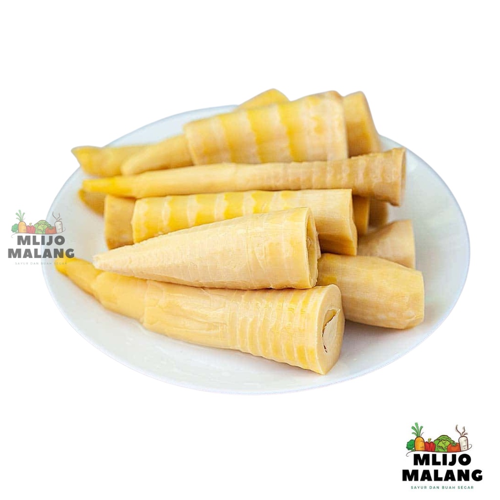 Jual Rebung Mentah Segar 500 gr | Shopee Indonesia