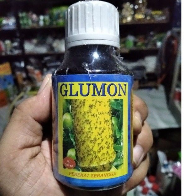 Jual Pelekat lalat buah GLUMON 100ml | Shopee Indonesia