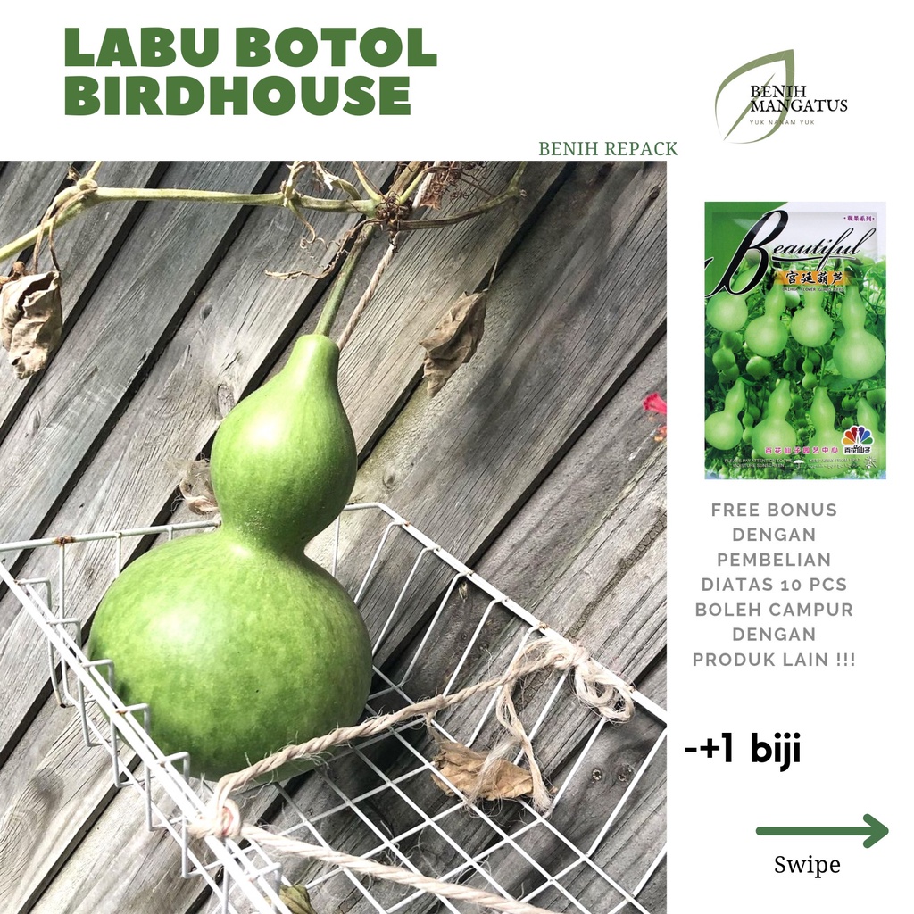 Jual C_13 Benih LABU AIR/WALUH HIJAU BOTOL -+1 BIJI Tanaman Sayuran ...