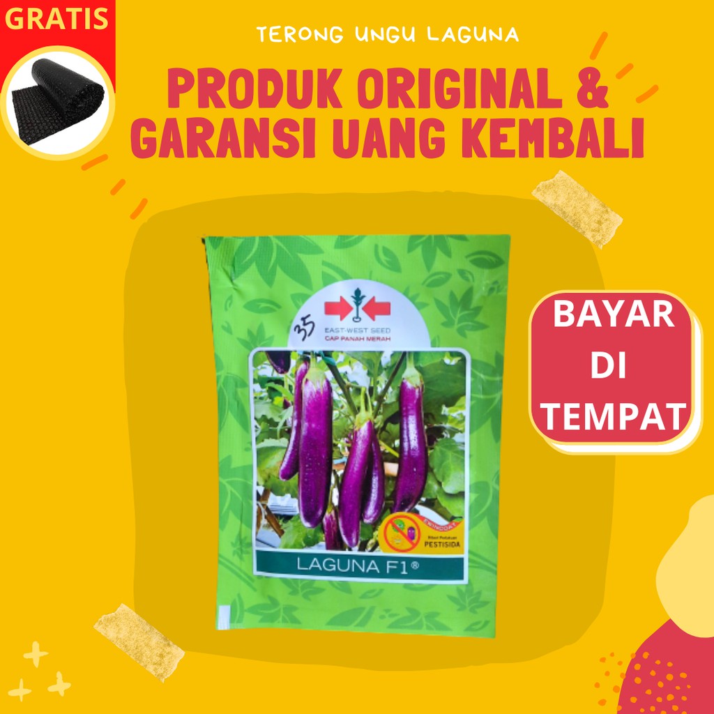Jual Biji Bibit Benih Sayur Sayuran Terong Ungu Kualitas Terbaik Cap Panah Merah LAGUNA F1 ...
