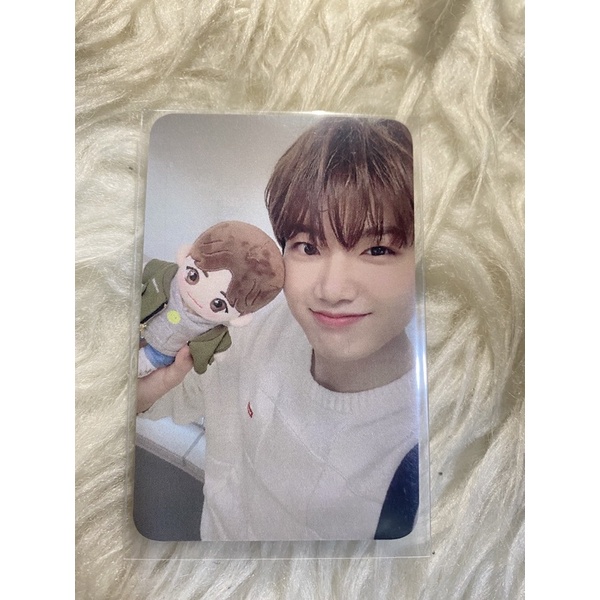 Jual pc plush doll junkyu (pc only) | Shopee Indonesia