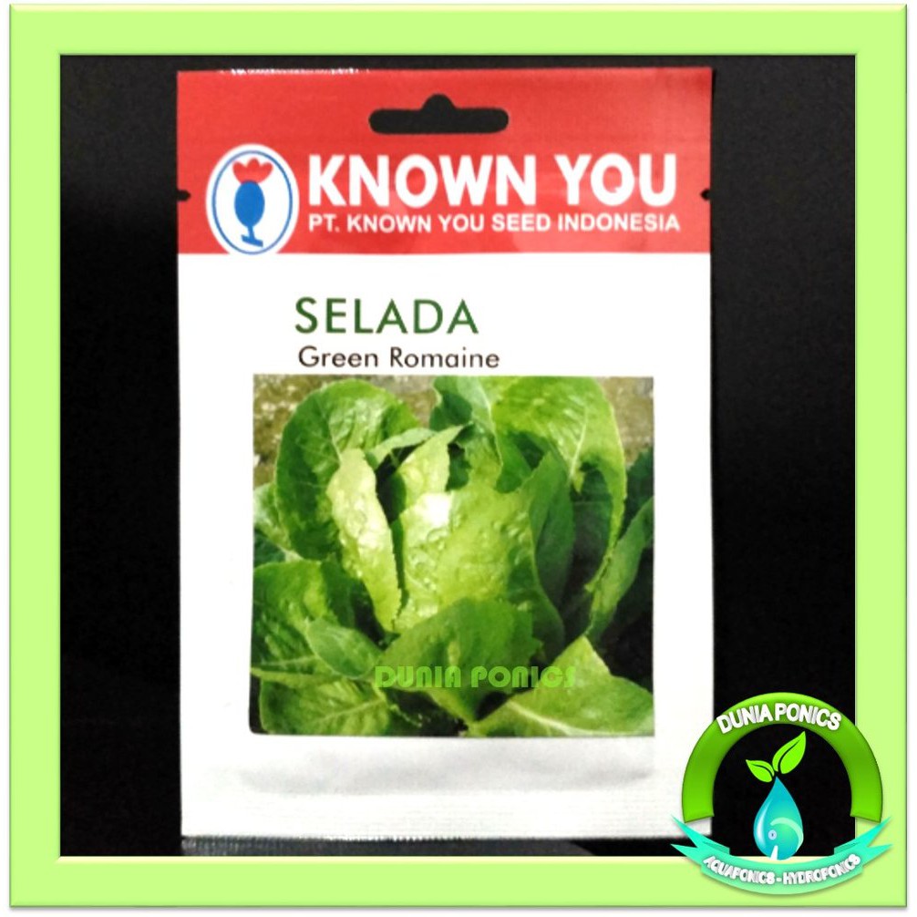 Jual Benih SELADA Hijau Green Romaine Known You Seed Kemasan Asli 1 P | Shopee Indonesia