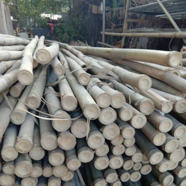 Jual kayu bambu 6meter | Shopee Indonesia