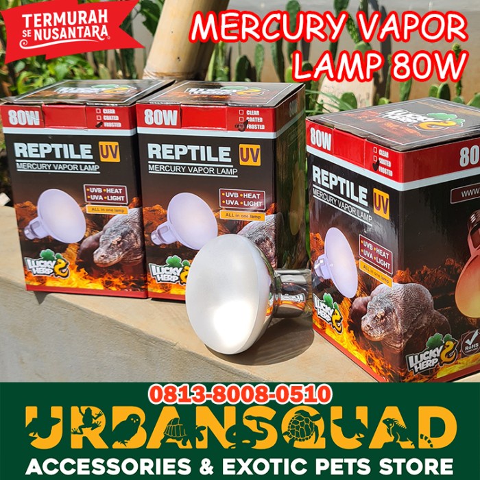 Jual Reptil-Uvb-Uva-Lampu- Lampu Uva Uvb Mercury Vapor 80W Lucky Herp Torto Sulcata Aldabra Kura ...