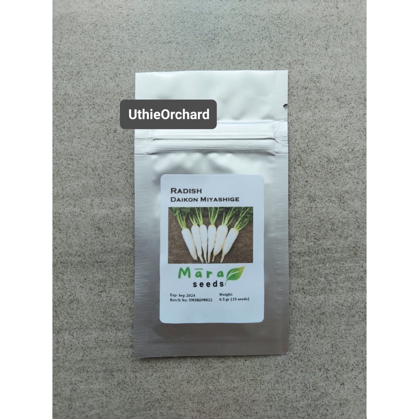 Jual Mara Seeds - Radish (Lobak) Daikon Miyashige (35 seeds) | Shopee ...