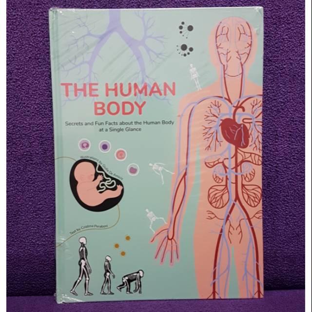 Jual THE HUMAN BODY | Shopee Indonesia