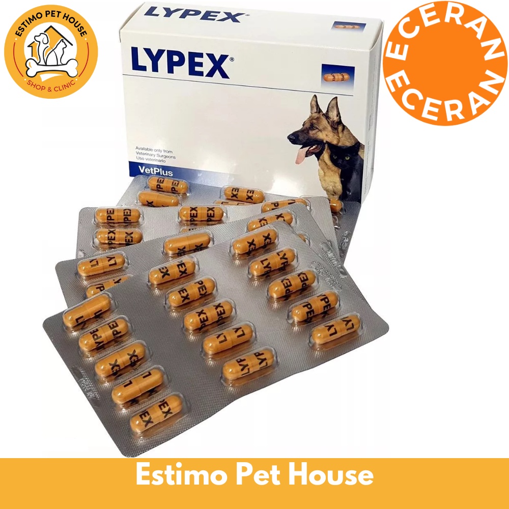 Jual LYPEX Enzim Obat Sakit Pankreas Anjing Kucing ECERAN | Shopee ...